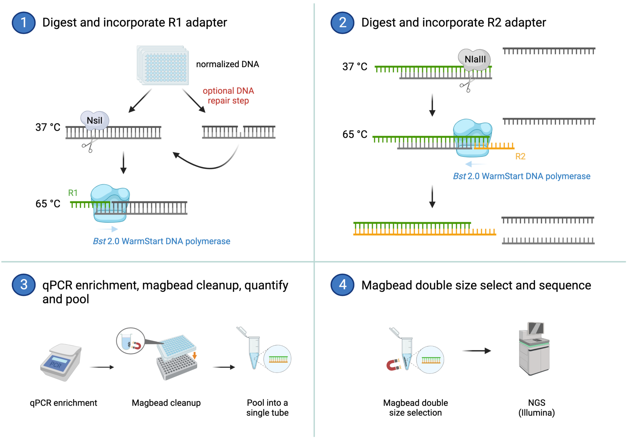 OmeSeq Technology – basewisesolutions.com